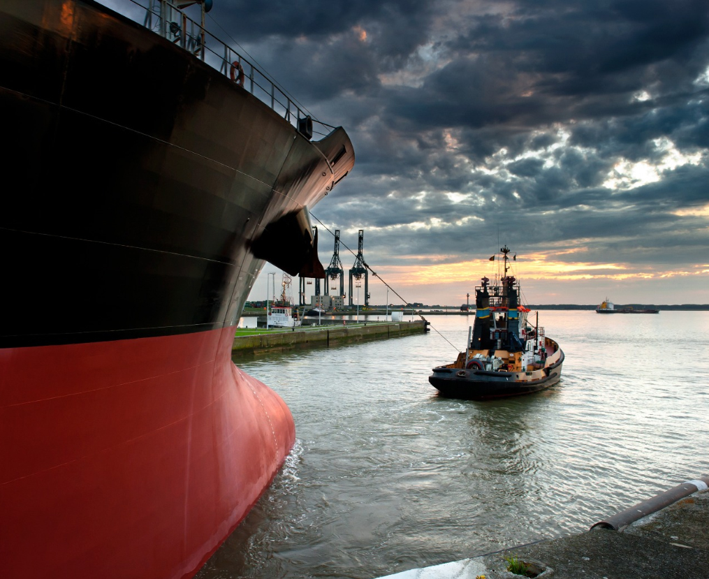 SAMS Logistics L.L.C - Globalize Your Vision...